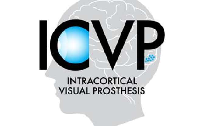 ICVP Q&A - The Chicago Lighthouse